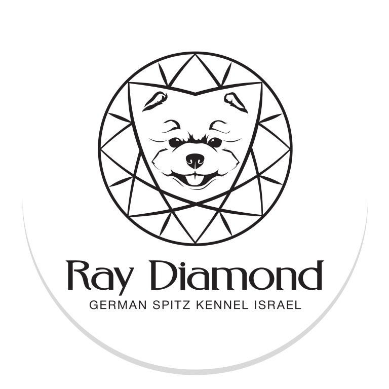 ray_diamond - Myminisite